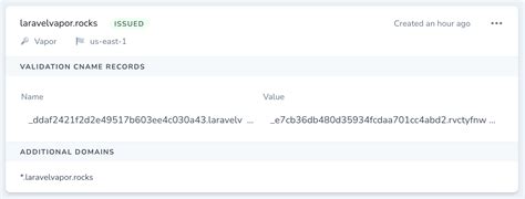 Vapor Managing Dns The Laravel Blog