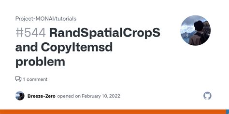 RandSpatialCropSamplesd And CopyItemsd Problem Issue 544 Project