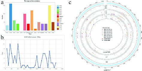 A Type And Number Of Individual Variants In The Entire Sample B