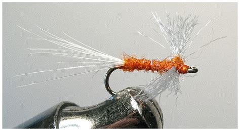 Dry Fly 'Expert': New Improved Recipe - Get Some Today!