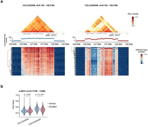 Droplet Hi C For Fast And Scalable Profiling Of Chromatin Architecture