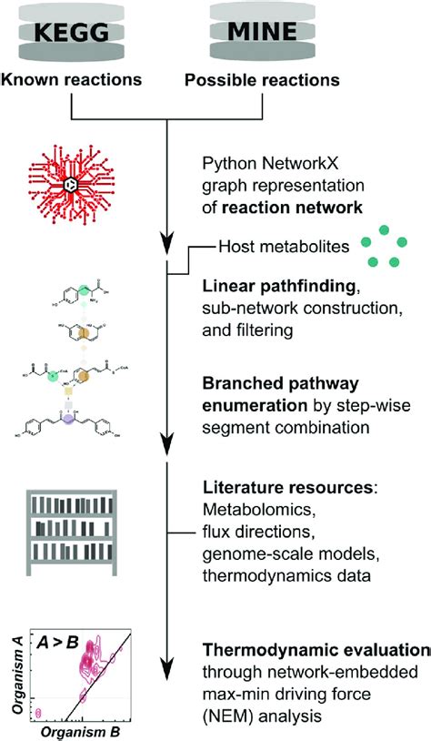 The Poppy Prospecting Optimal Pathways With Python Analytical Download Scientific Diagram