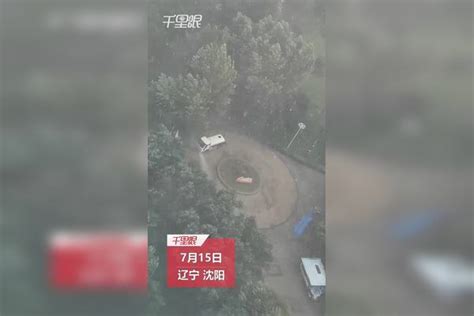 辽宁一洒水车大雨天公园转圈洒水 洒水车 公园 辽宁
