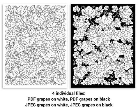 Pdf Jpeg Printable Adult Coloring Page Digital Botanical Etsy