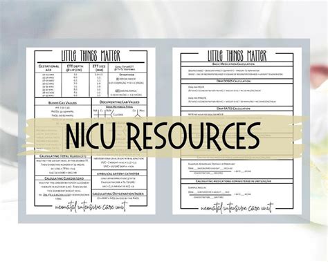 Nicu Neonatal Intensive Care Unit Nurse Rn Resources Printable Quick References Instant Download