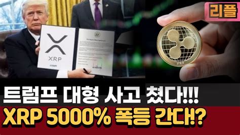리플 트럼프 이번에 제대로 사고쳤네리플 5000 폭등 영향준다 Youtube