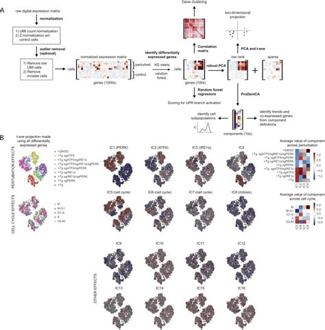 A Multiplexed Single Cell CRISPR Screening Platform Enables Systematic Dissection Of The