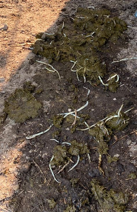 Laura Beddingfield Added A New Photo Laura Beddingfield