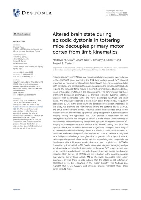 Pdf Altered Brain State During Episodic Dystonia In Tottering Mice Decouples Primary Motor