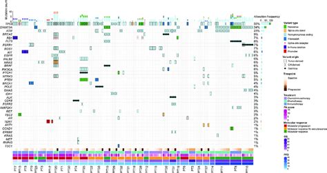 Landscape Of Sequence Alterations In Plasma The Type And Origin Of Download Scientific Diagram
