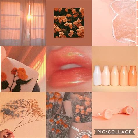 Soft Orange Aesthetic Collage 🧡