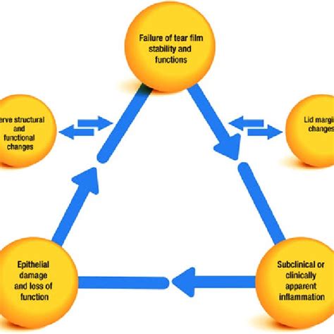 Key Pathogenic Factors Contributing To The Vicious Circle Of Dry Eye
