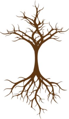 Tree Roots PNGs For Free Download