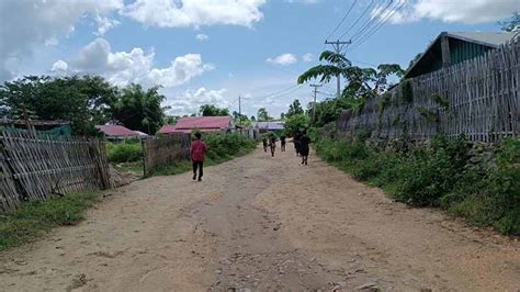 မြိုင်မြို့နယ်တွင် ပျူစောထီးများ တိုက်ခိုက်ခံရပြီး ၆ ဦး သေဆုံး၊ ၃ ဦး ဒဏ်ရာရ