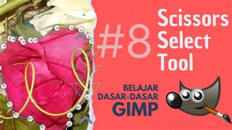 Belajar Dasar GIMP 8 Scissors Select Tool YouTube