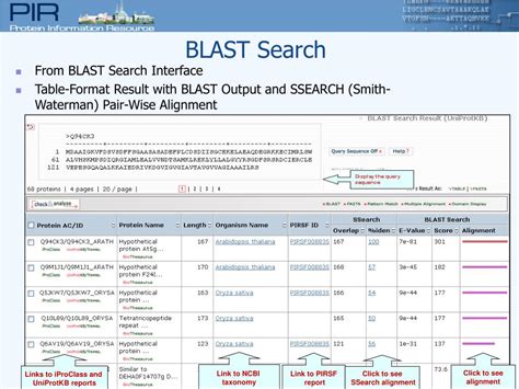 ppt sequence based analysis tutorial powerpoint presentation free