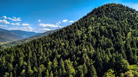 Angular Let Keyword Declare Variable In Html Template By Sinan