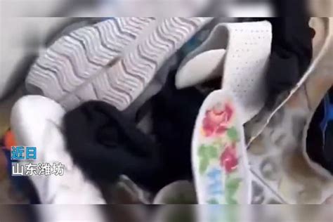 山东女子着急出门洗衣机洗鞋按错键洗完后现场惨不忍睹 洗衣机 女子 山东