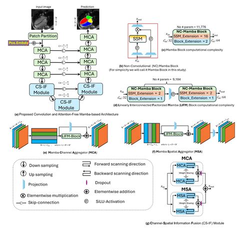 Cams Convolution And Attention Free Mamba Based Cardiac Image