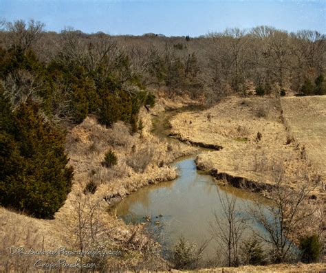 Week 11 Caddo Lbj Grasslands Debbi Robertson Photography Old Site