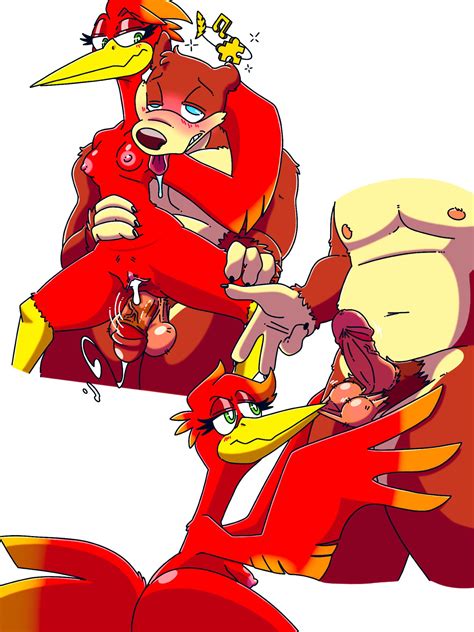 Rule 34 After Sex Anthro Anthrofied Avian Balls Banjo Kazooie Banjo