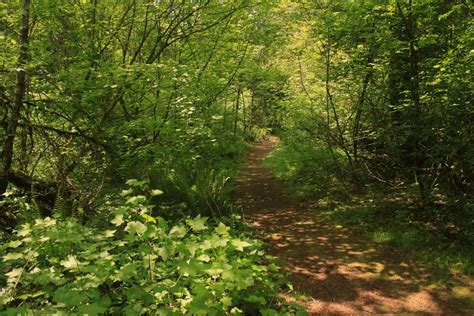Campbell Valley Regional Park In Langley Vancouver Trails