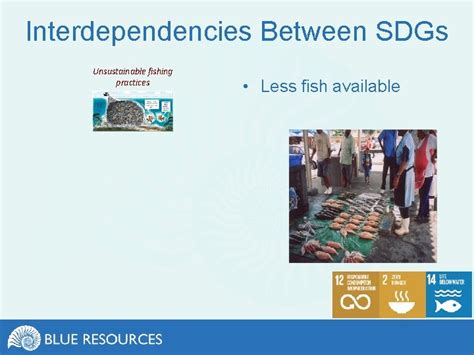 Implementing Monitoring The Sdgs In The Caribbean The