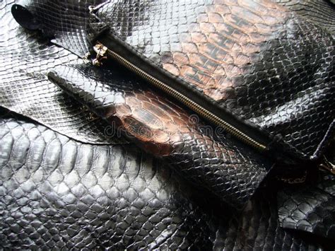 Black Patent Bag Made Of Python Skin Crossbody Stock Image Image Of Luxury Season 271777527