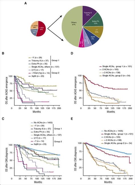 Risk Stratification Of Chromosomal Abnormalities In Chronic Myelogenous Leukemia In The Era Of