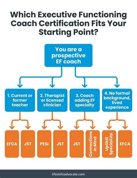 6 Best Executive Functioning Coach Certification Programs 2026 Comparison
