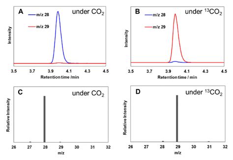 Figure S15 Data Obtained During Isotope Tracer Experiments Involving