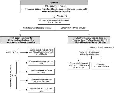Flowchart Of Diversity Analyses And Spatial Prioritisation Of