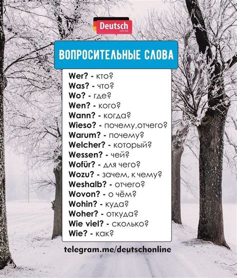 Немецкая грамматика Вопросительные слова немецкийязык немецкаяграмматика немецкиеправила