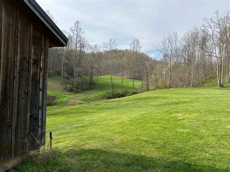 Subspecies Highlight Eastern Meleagris Gallopavo Silvestris Wild Turkey Lab