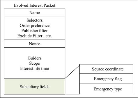 Evolved Interest Packet Download Scientific Diagram