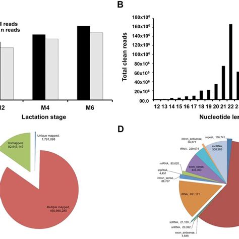 Annotation And Filtering Analysis Of All Clean Small Reads A After Download Scientific