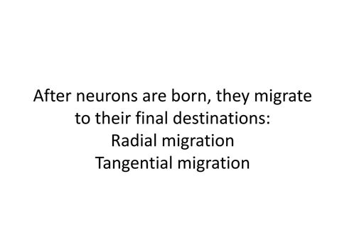 Ppt Neuronal Migration In Cns Development Powerpoint Presentation Free Download Id 3430346