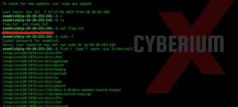TryHackMe Expose Writeup