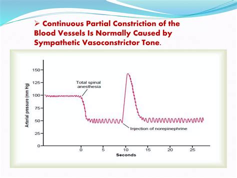 Cardiac Output Pptx Cardiac Output Pptx
