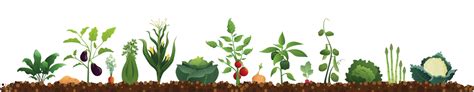 Community Gardens Clip Art Library