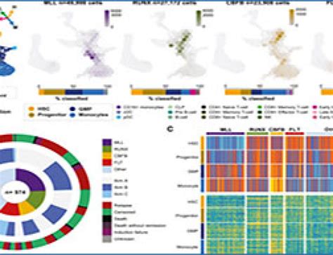 Scbn A Statistical Normalization Method And Differential Expression