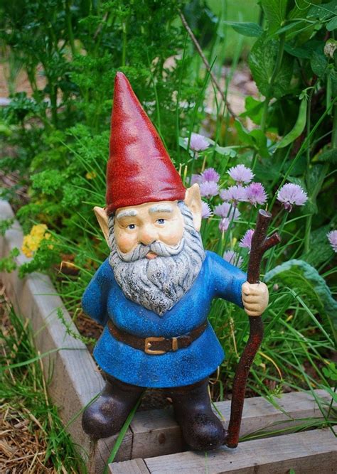 Садовые гномы 80 фото установка подсветка и подбор персонажей Gnome Garden Garden Gnomes