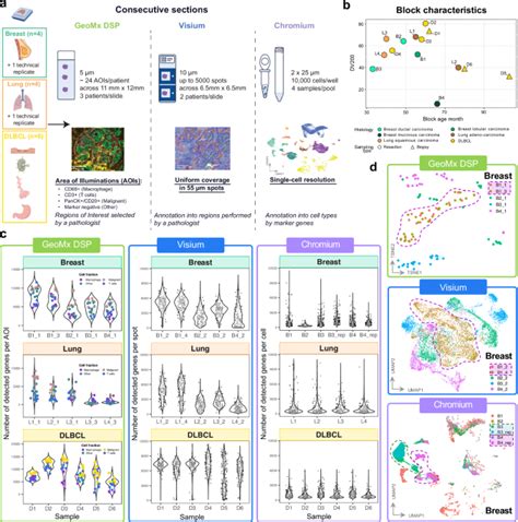 Which Spatial Transcriptomics Tool Is Best For Ffpe Samples Cd Genomics