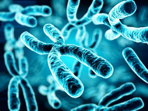 Evaluation Of Germline Structural Variant Calling Methods For Nanopore