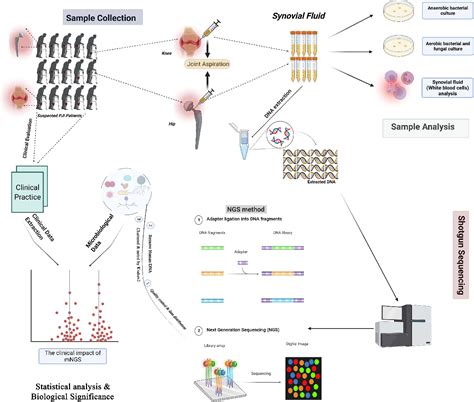 Figure 1 From The Clinical Impact Of Metagenomic Next Generation Sequencing For The Diagnosis Of