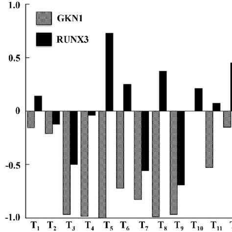 runx3 expression levels in human gastric tissues a c and e