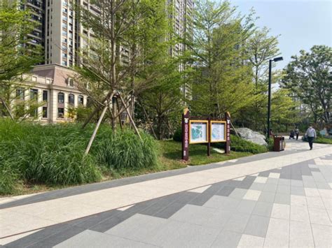 白鹤洞街：白鹤洁羽 健步如飞（图） 广州市荔湾区人民政府门户网站