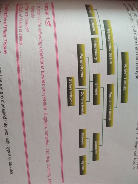 Draw A Flowchart Showing The Various Types Of Connect