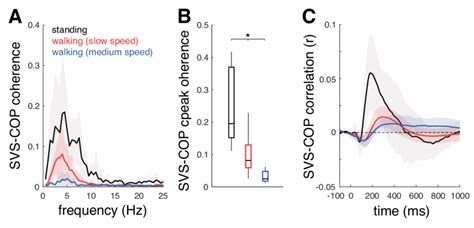 Correlation Analysis In Frequency And Time Domain For Coupling Between