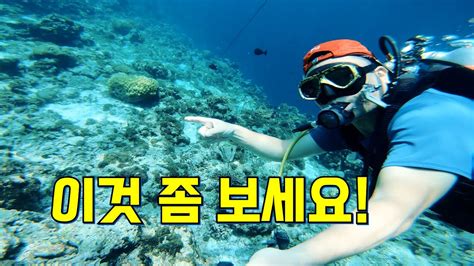 허세왕레옹 스쿠버다이빙하러 가야지 YouTube